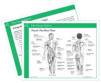 Meridian Source Points ~ Digital Chart – Eden Method Store