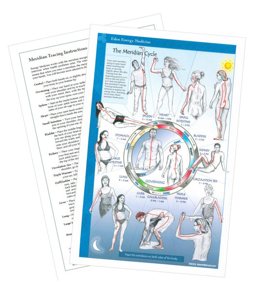 The Meridian Cycle ~ Digital Chart – Eden Method Store