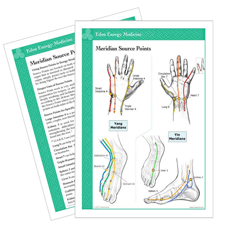 Meridian Source Points ~ Digital Chart – Eden Method Store