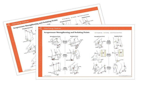 Strengthening & Sedating Points - Digital Chart – Eden Method Store